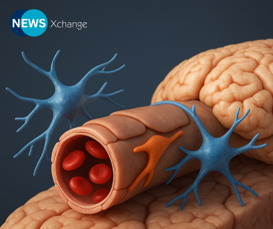 Restoring Endothelial Homeostasis for Alzheimer’s Therapy: Mechanistic ...
