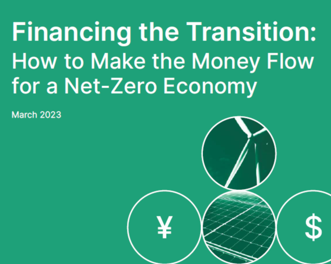 Financing the Transition: How to Make the Money Flow for a Net-Zero ...