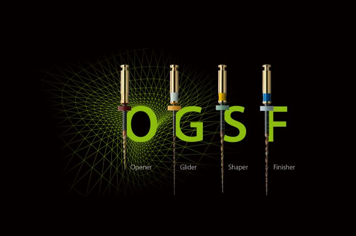 HyFlex EDM OGSF Sequence File System - BDIA Dental Showcase 2024