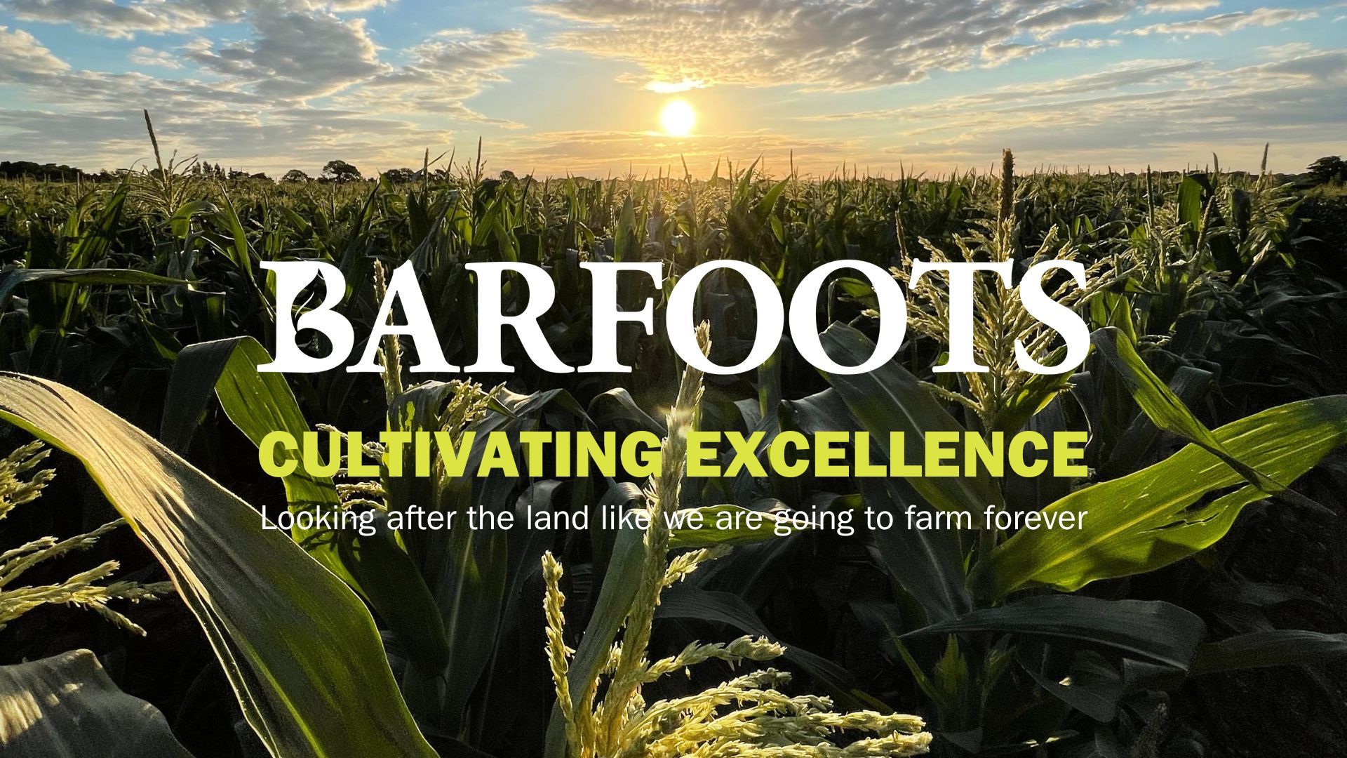 Meet the supplier: Barfoots of Botley - HRC 2025