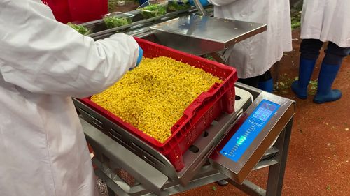 Products - IFE Manufacturing 2024