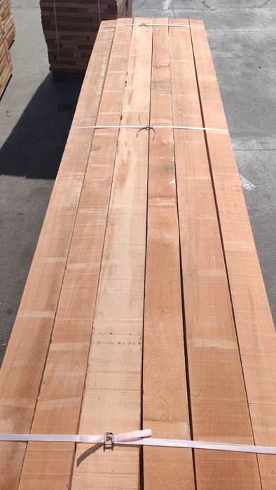 Romanian Premium Quality Beech Timber - Professional Woodworking Expo 2026