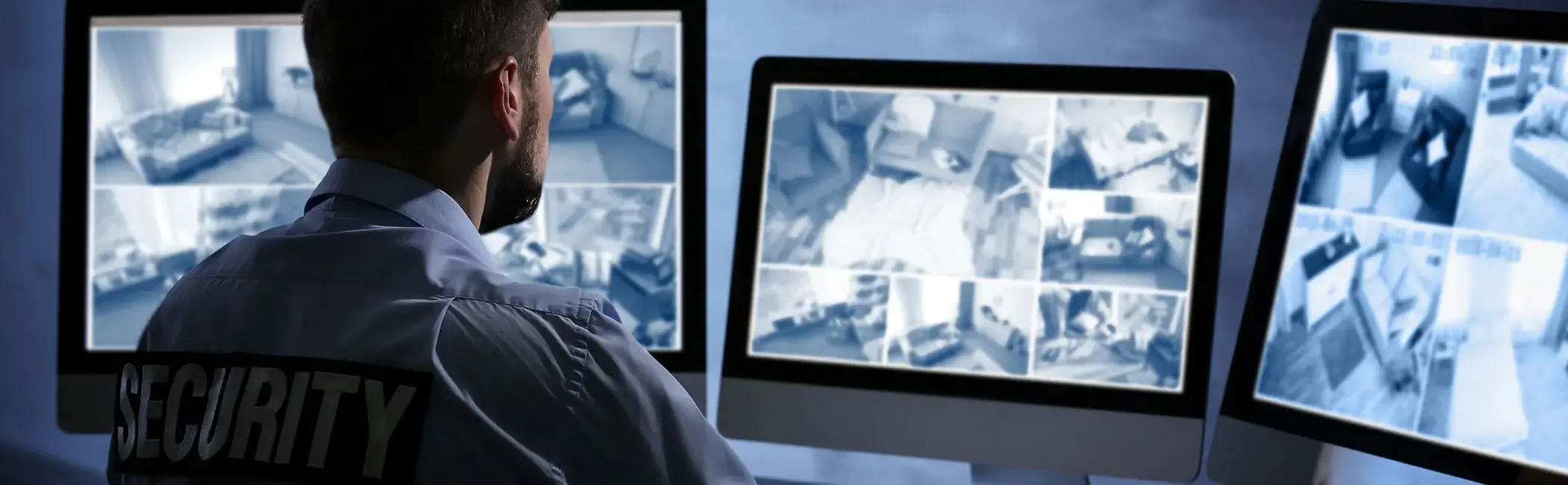 Professional Security Officer | The Security Event 2024