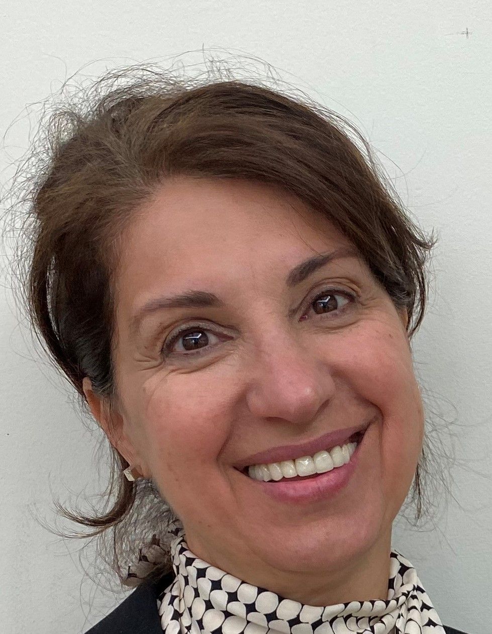 Ambassadors - Sydney Build