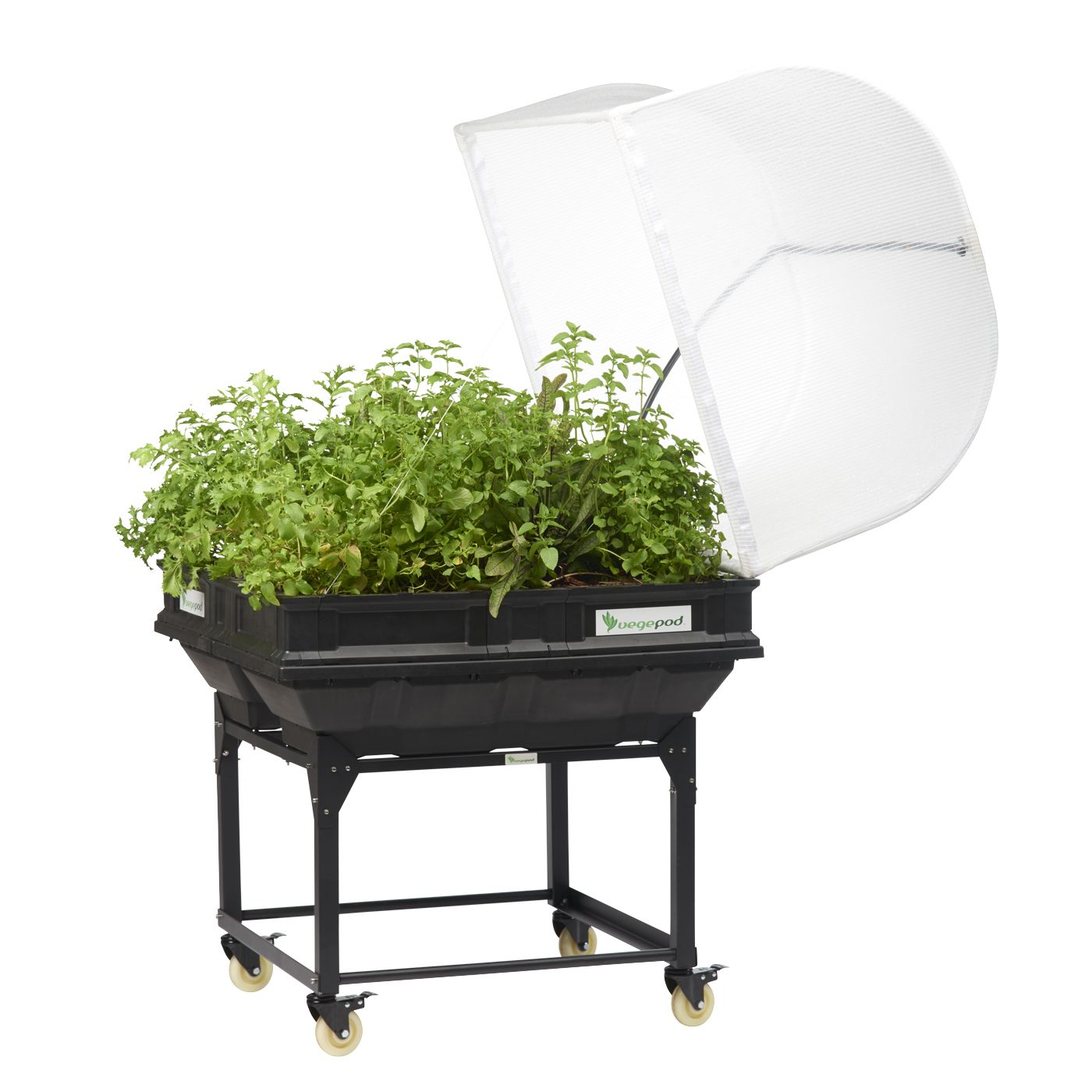 Vegepod - Naidex 2021 - Anything is possible.