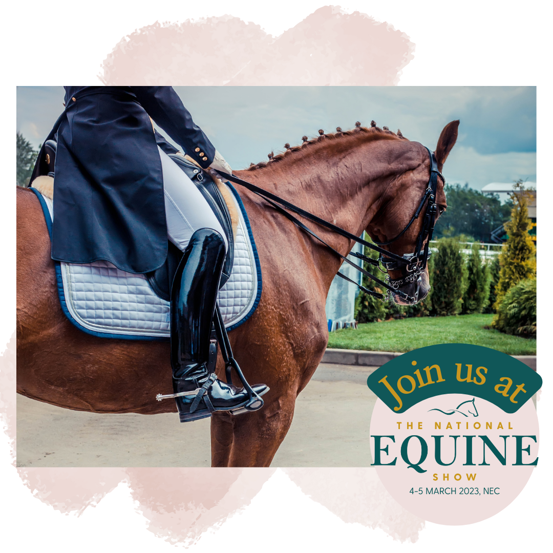 Marketing Materials - National Equine Show 2023