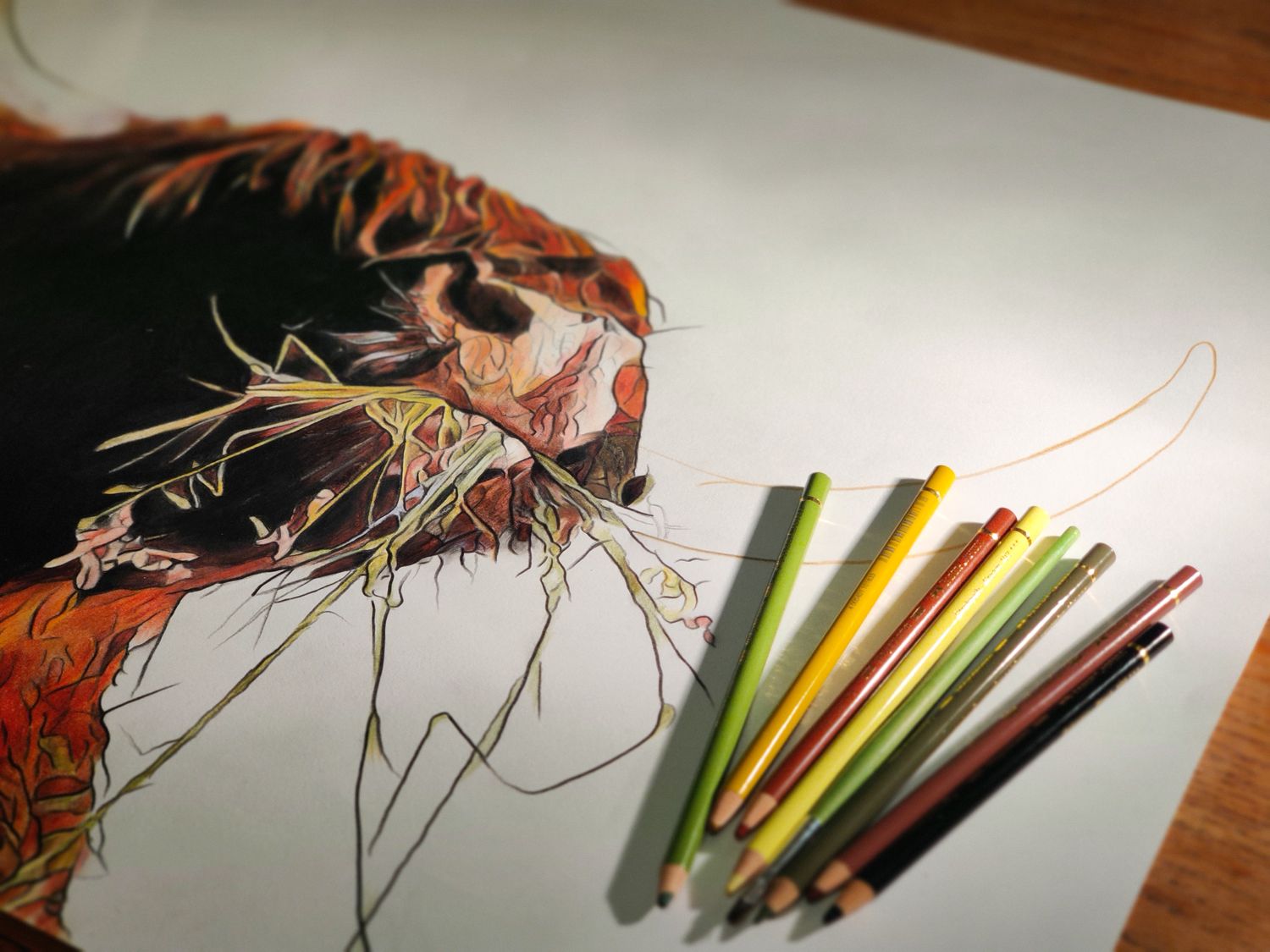 Nick Field Art - Scotland’s Trade Fair Autumn 2023