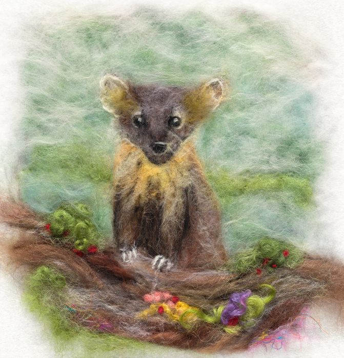 Show Offer Scotland's Trade Fair Jan 2026 - Scotland's Trade Fair ...